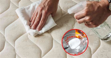 Comment désinfecter et nettoyer un matelas en profondeur Jardin Et