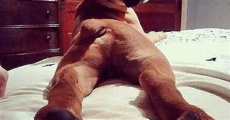 I Like Big Butts And I Cannot Lie Album On Imgur