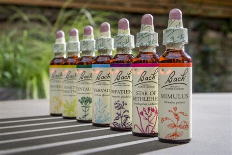 11 Remedios De Flores De Bach Para Combatir La Ansiedad Y Controlar El