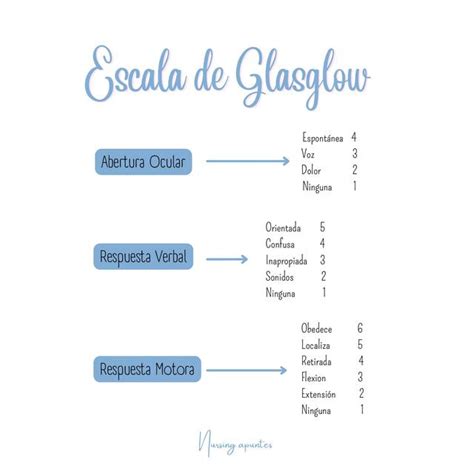 Escala De Glasglow Nursing Apuntes UDocz