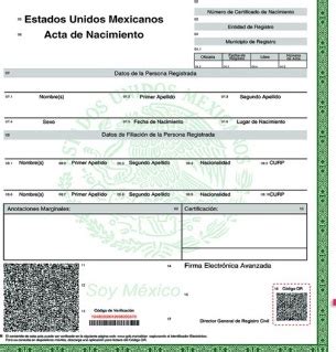 Acta De Nacimiento