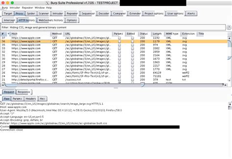 Burp Pro As A Docker Container Marco Lancini S Blog