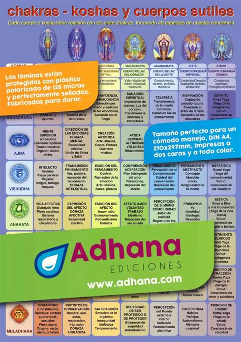 L Mina De Chakras Koshas Y Cuerpos Sutiles Adhana L Minas Y P Ster