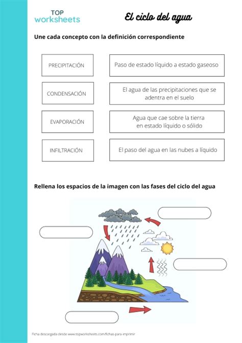 Sopa De Letras El Ciclo Del Agua Ficha Para Imprimir TopWorksheets