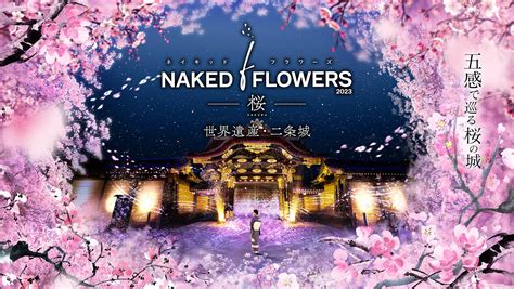 五感で巡る桜のアートイベントNAKED FLOWERS 2023 桜 世界遺産二条城開催株式会社ネイキッドのプレスリリース