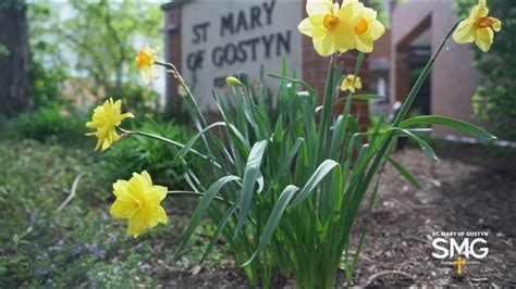 Learn Grow Thrive At St Mary Of Gostyn School YouTube