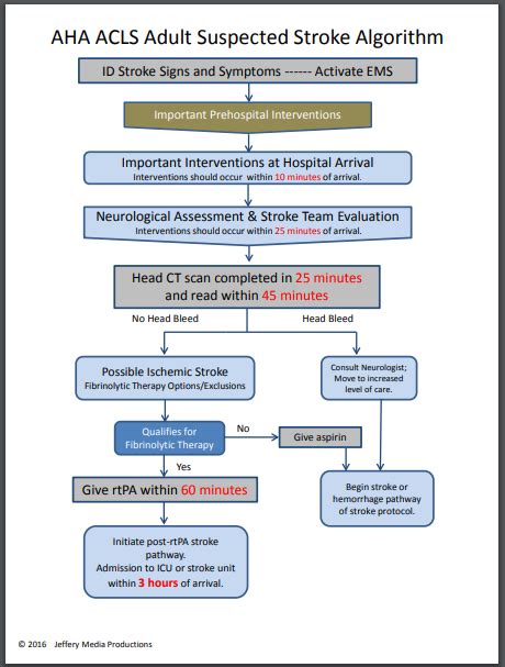 Acls Algorithm Overview Acls Algorithms