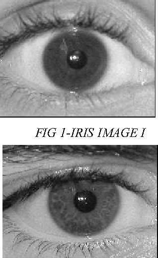 figure 1 from biometric personal identification based on iris pattern recognition using wavelet
