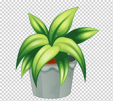 Planta Con Flores Plantas En Maceta Hoja Hierba Flor Png Klipartz