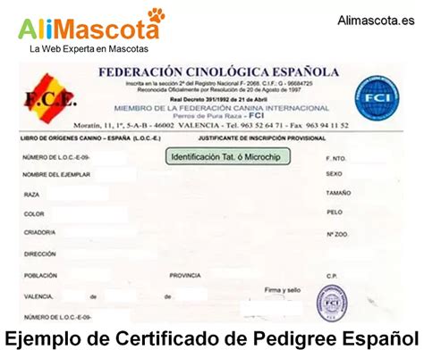 Pedigree Definición y función ALIMASCOTA ES