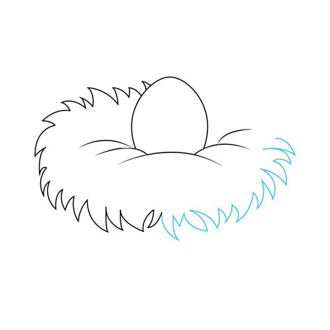 How To Draw A Bird Nest