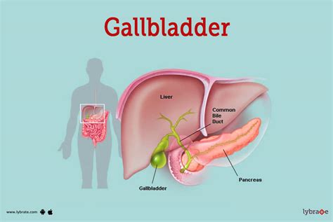 Gallbladder Pain Location Diagram