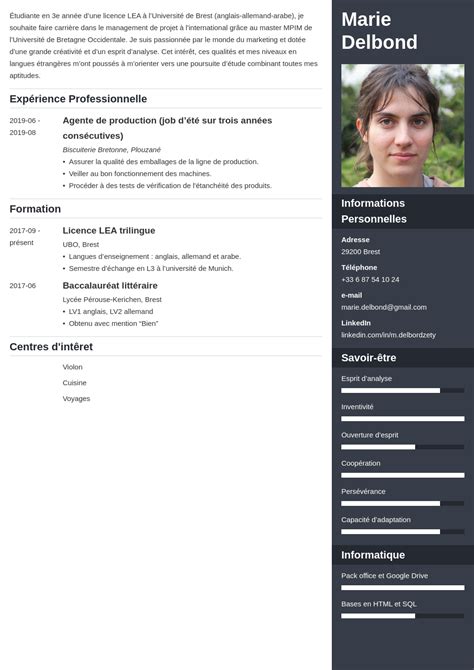 Comment D Crire Son Niveau De Langue Sur Le Cv