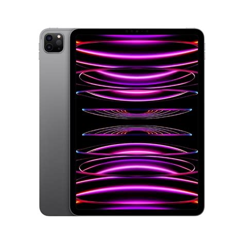 Apple IPad Pro 11 2022 4th Gen Wifi Space Gray 256GB 8GB