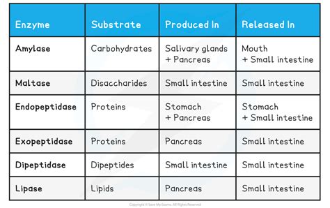 Digestive Enzymes Table