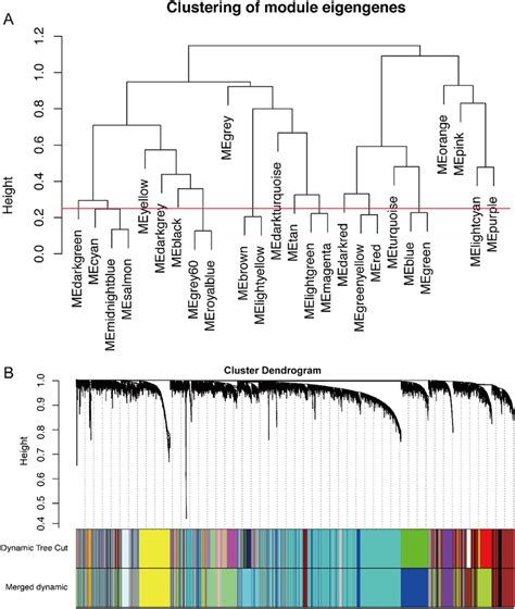 Construction Of Co Expression Modules By Wgcna Package In R A A