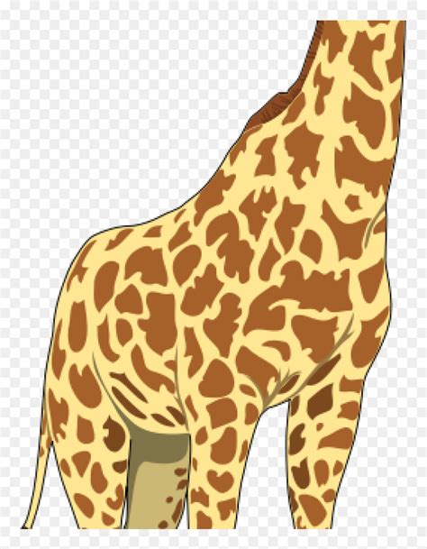 Animated Giraffes Clip Art Library