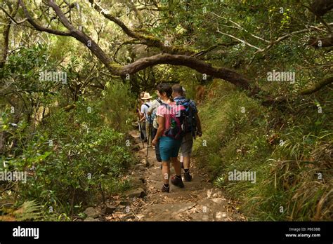 People Walking On The Network Of Levadas Water Channels Which Cross