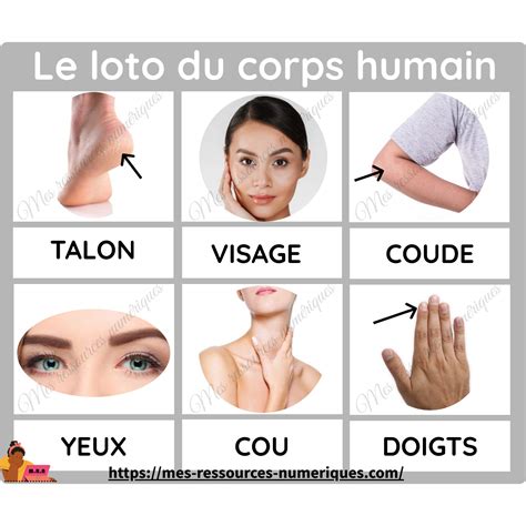 TÉLÉCHARGEZ GRATUITEMENT LE PDF Mon loto du corps humain GS