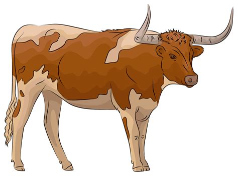 Texas Longhorn Clipart Transparent PNG Clipart Images Free Clip Art