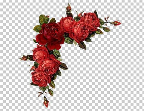 Pin On Flower Frame