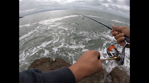 PECHE du bar aux leurres souples début de l automne 2023 YouTube