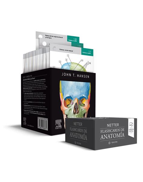 Netter Flashcards De Anatom A Aa Vv Amazon It Libri