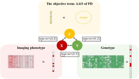 schematic of our objective specific sparse canonical correlation download scientific diagram
