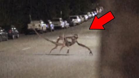 Mythical Creatures Caught On Camera Spotted In Real Life YouTube