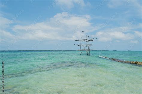 Gaviotas Posadas Y Volando Al Rededor De Estrucutura De Madera Cerca De
