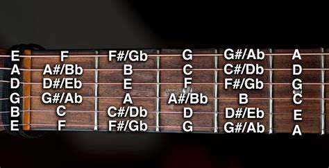 Nombres de las cuerdas de la guitarra Guía completa y sencilla