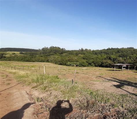 Fazenda Para Venda Tapes Rs Bairro Rs Rea Total Hectares