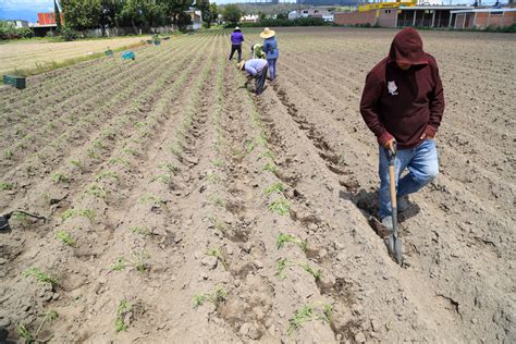 Puebla Escasez de agua en Tehuacán es por alteración climática y no por
