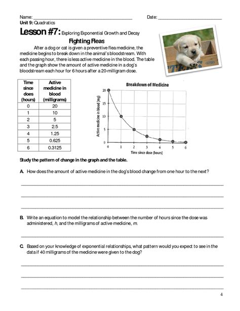 Exponential Growth Decay Worksheets