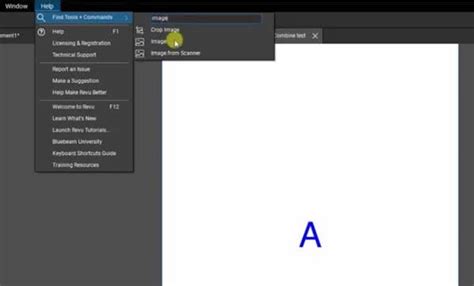 Wie man Bilder in den Bluebeam PDF Editor einfügt