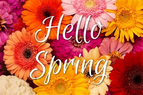 Beau Collage De Printemps Bonjour Photo Gratuite