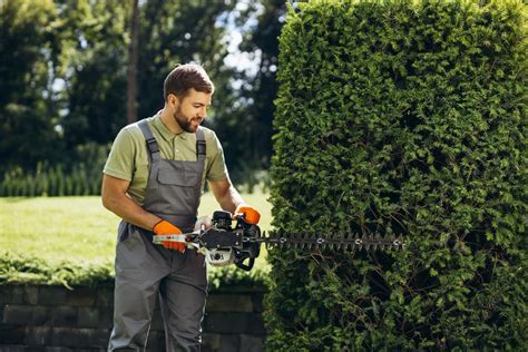 Devenir jardinier formation salaire débouchés et fiche métier