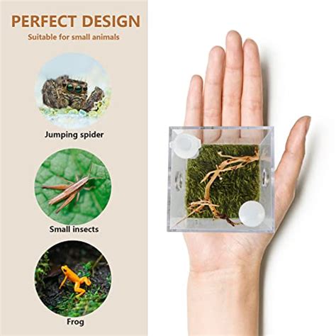 GKPONSX Jumping Spider Enclosure Acrylic Snail SpiderTerrarium Insect