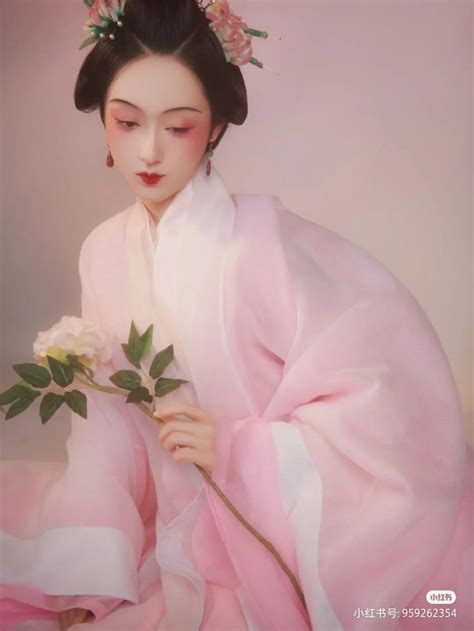 Hanfu China Ming Dynasty Chinese Traditional Clothing Hanfu