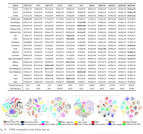 dual graph convolutional network for hyperspectral image classification hot sex picture