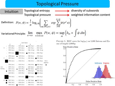 koslicki lab coding sequence density estimation via topological pressure
