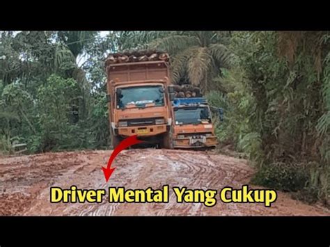 Driver Truk Sawit Fuso Oren Nekat Di Jalan Licin Dan Berlumpur Youtube