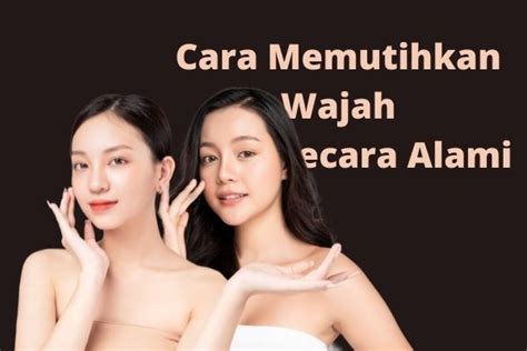 Cara Untuk Memutihkan Kulit Secara Alami 2024 Androkit