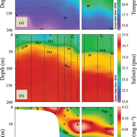 In Situ Vertical Profiles Of A Temperature C B Salinity Psu
