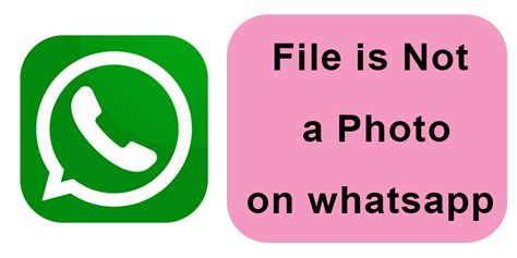 Why File Is Not Opening In Whatsapp Samsung Android Iphone Face