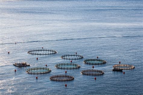 Aquaculture Pictures