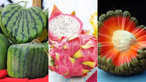 Ranking de las frutas raras y más exóticas que existen Te sorprenderán