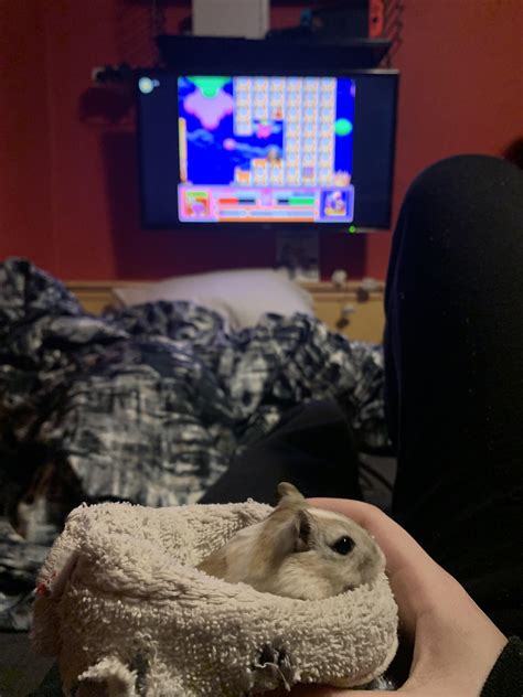 Having A Girls Only Sleepover Scrolller