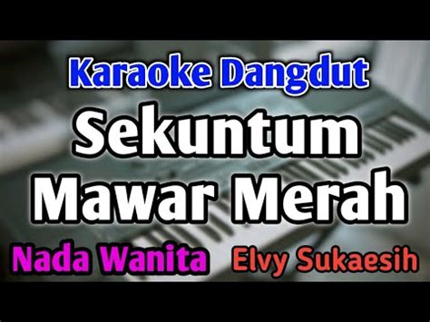 Sekuntum Mawar Merah Karaoke Nada Wanita Cewek Dangdut Band