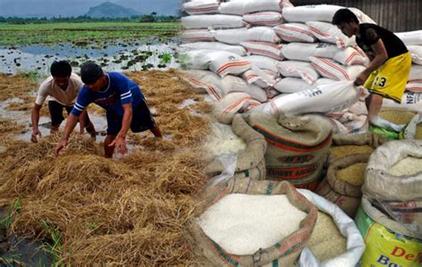 Produksyon ng bigas sa bansa maaapektuhan ng El Niño DA Police